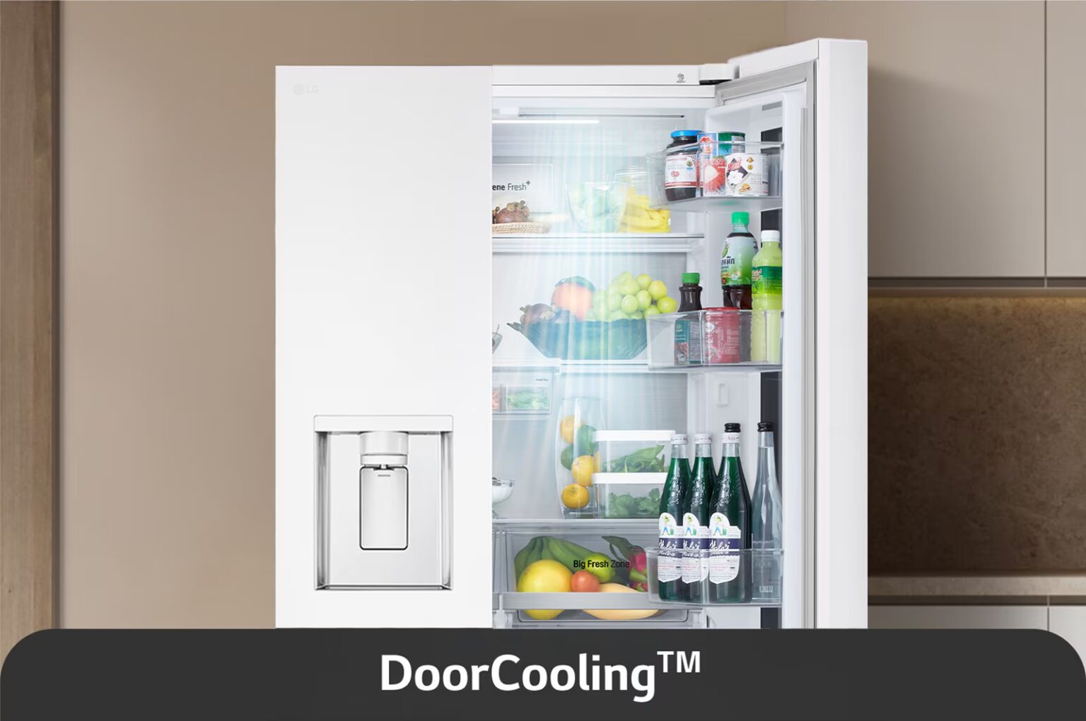 LG Subscribe Malaysia | LG Refrigerator Series